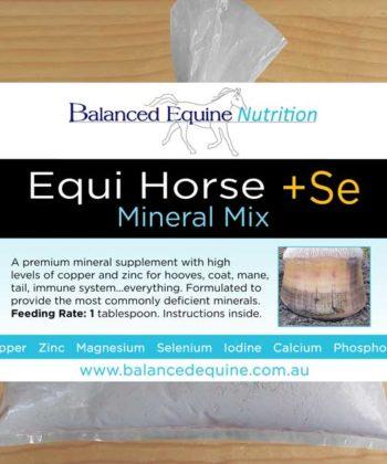 Equihorse + Se Mineral Mix 4.9kg – Pilbara Pet Supplies
