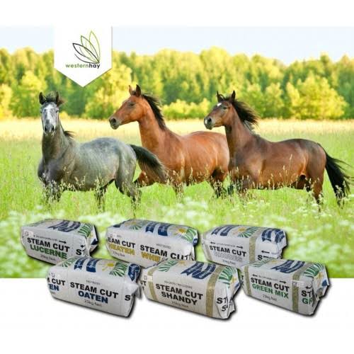 OH - Western Hay Shandy Chaff – Pilbara Pet Supplies